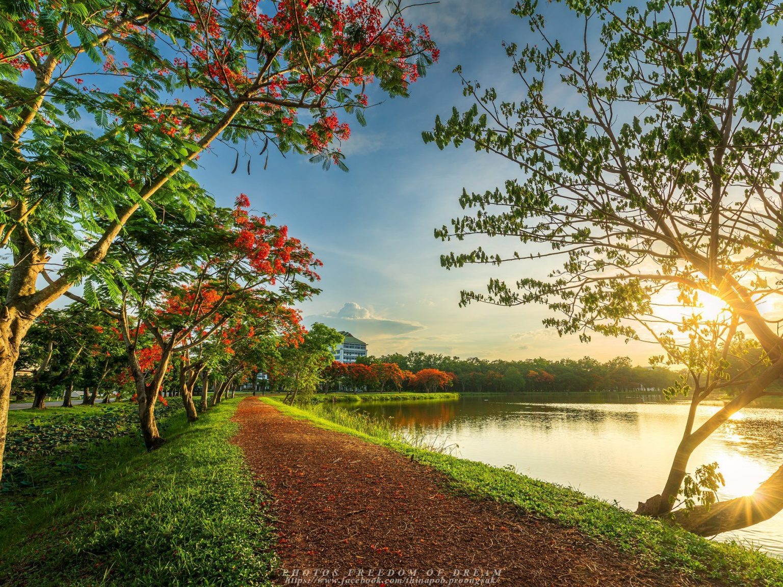 History – PLAN PSRU